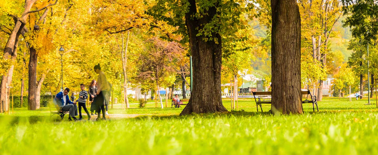 Creating a Community Engagement Plan